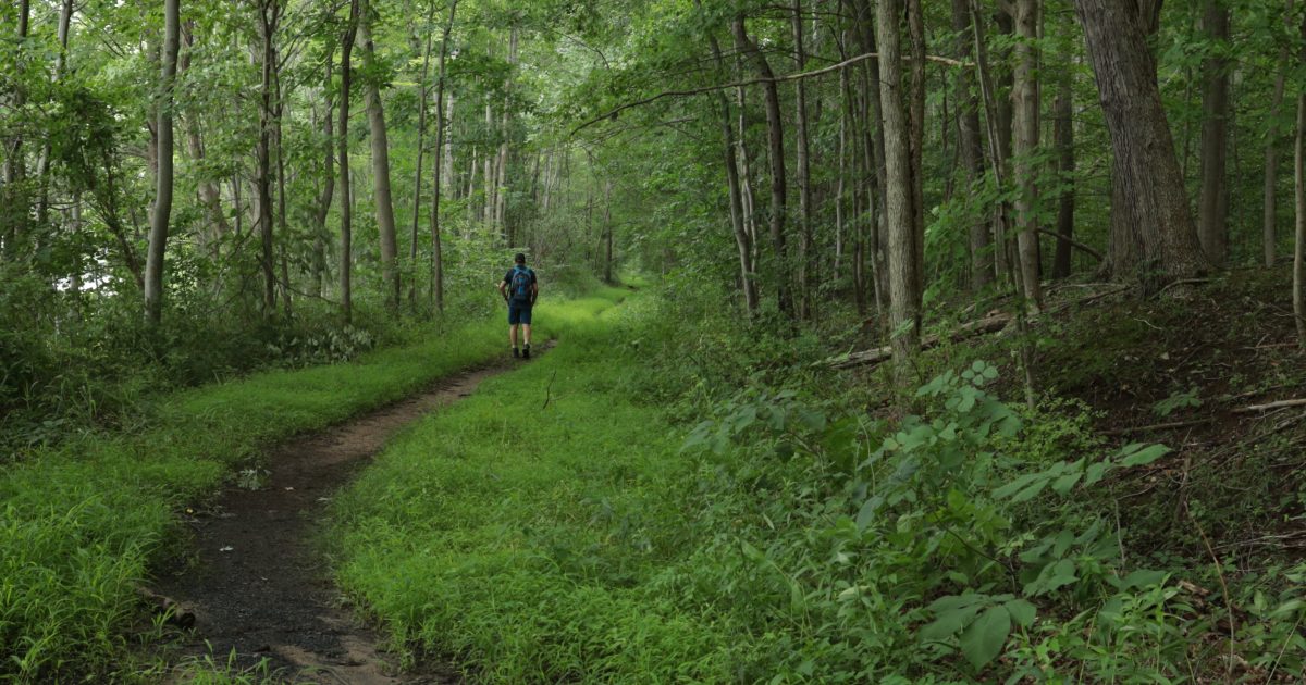 Weather & Average Temperatures | Experience Butler County PA