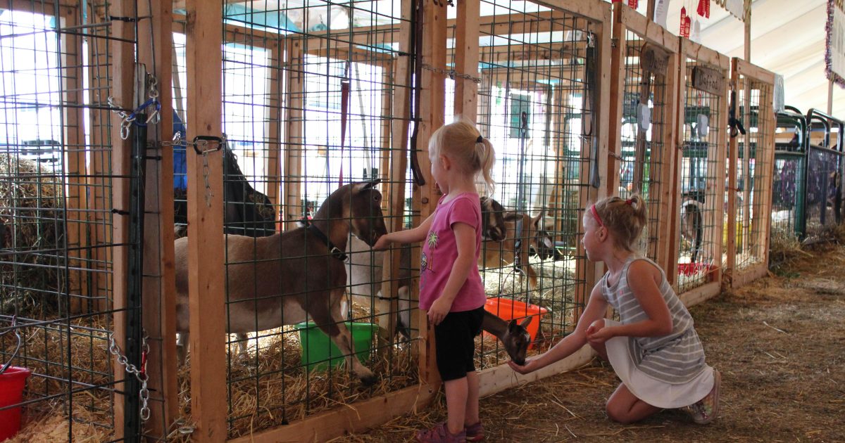 Win Four Tickets to the Butler Farm Show! | Experience Butler County PA