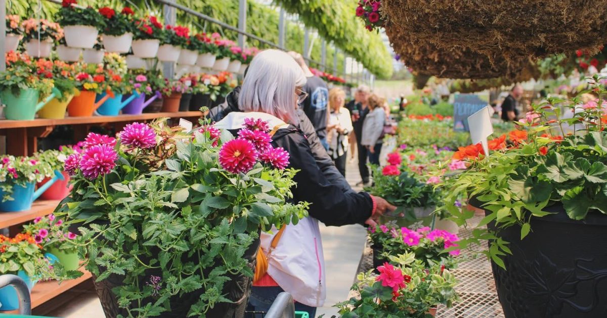 Butler Spring Bucket List | Experience Butler County PA