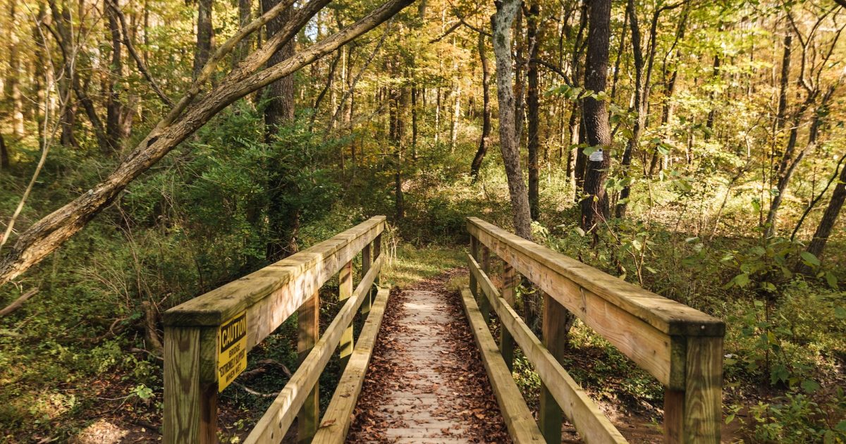 Thank You | Experience Butler County PA