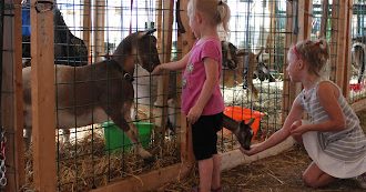 78th Annual Butler Farm Show | Experience Butler County PA