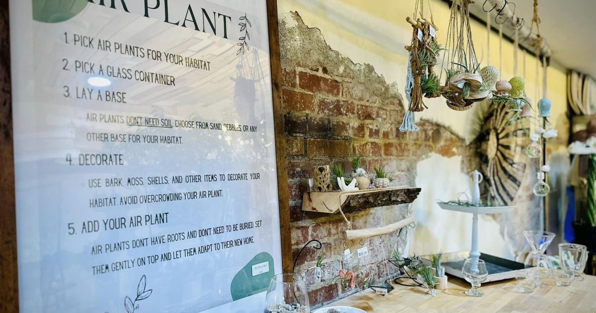 Grows On Main | Experience Butler County PA