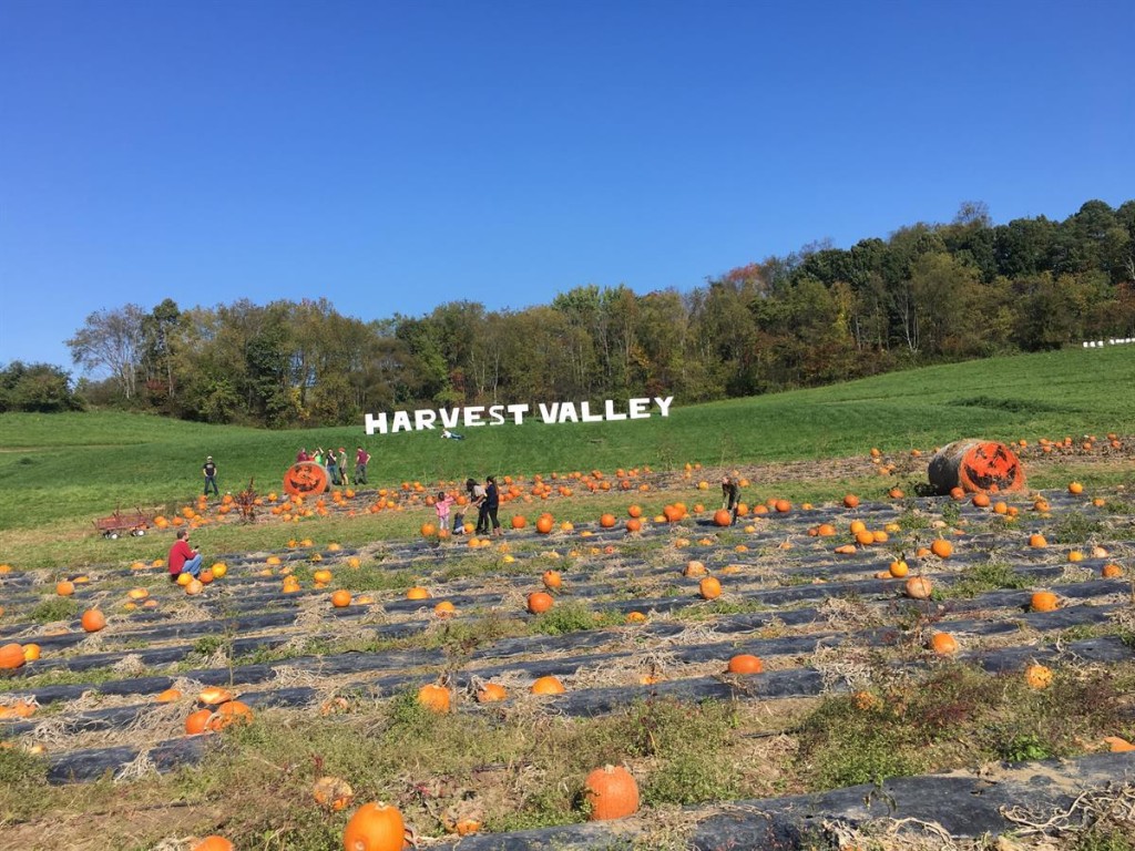 Valencia | Experience Butler County PA