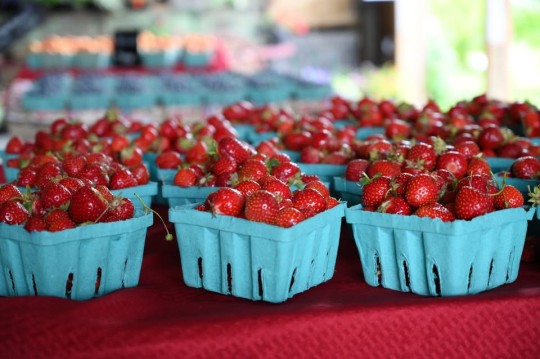 Valencia | Experience Butler County PA